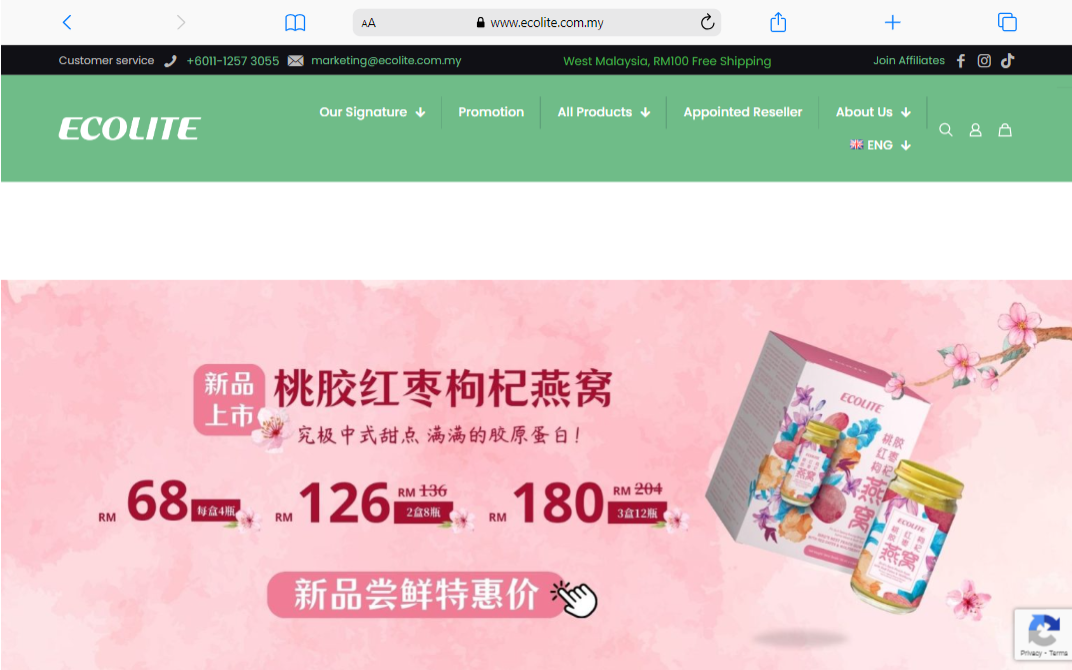 Ecolite’s SEO Transformation Reached New Heights I Newnormz
