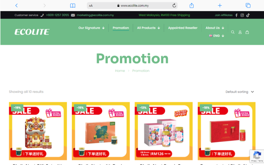 Ecolite’s SEO Transformation Reached New Heights I Newnormz