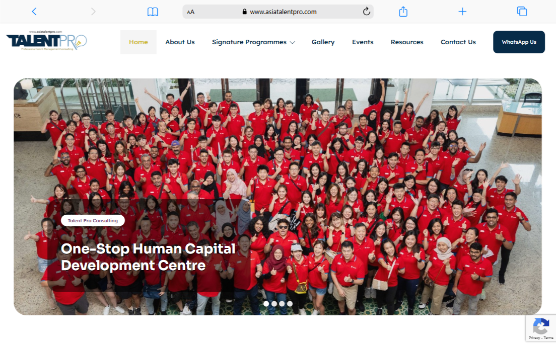 TalentPro - Newnormz